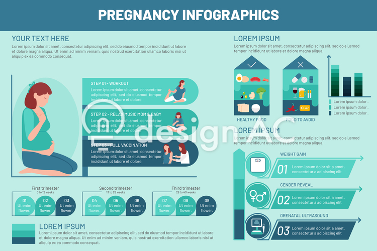 Pregnancy infographic 2643 - Free Download - templateAC